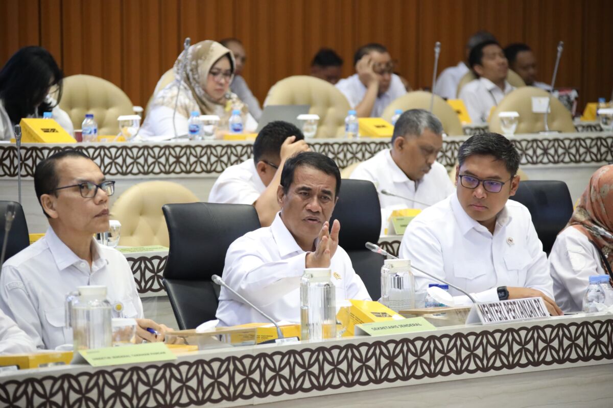 Produksi Surplus 3,7 Juta Ton, Komisi IV Apresiasi Mentan Amran - KABARIKA